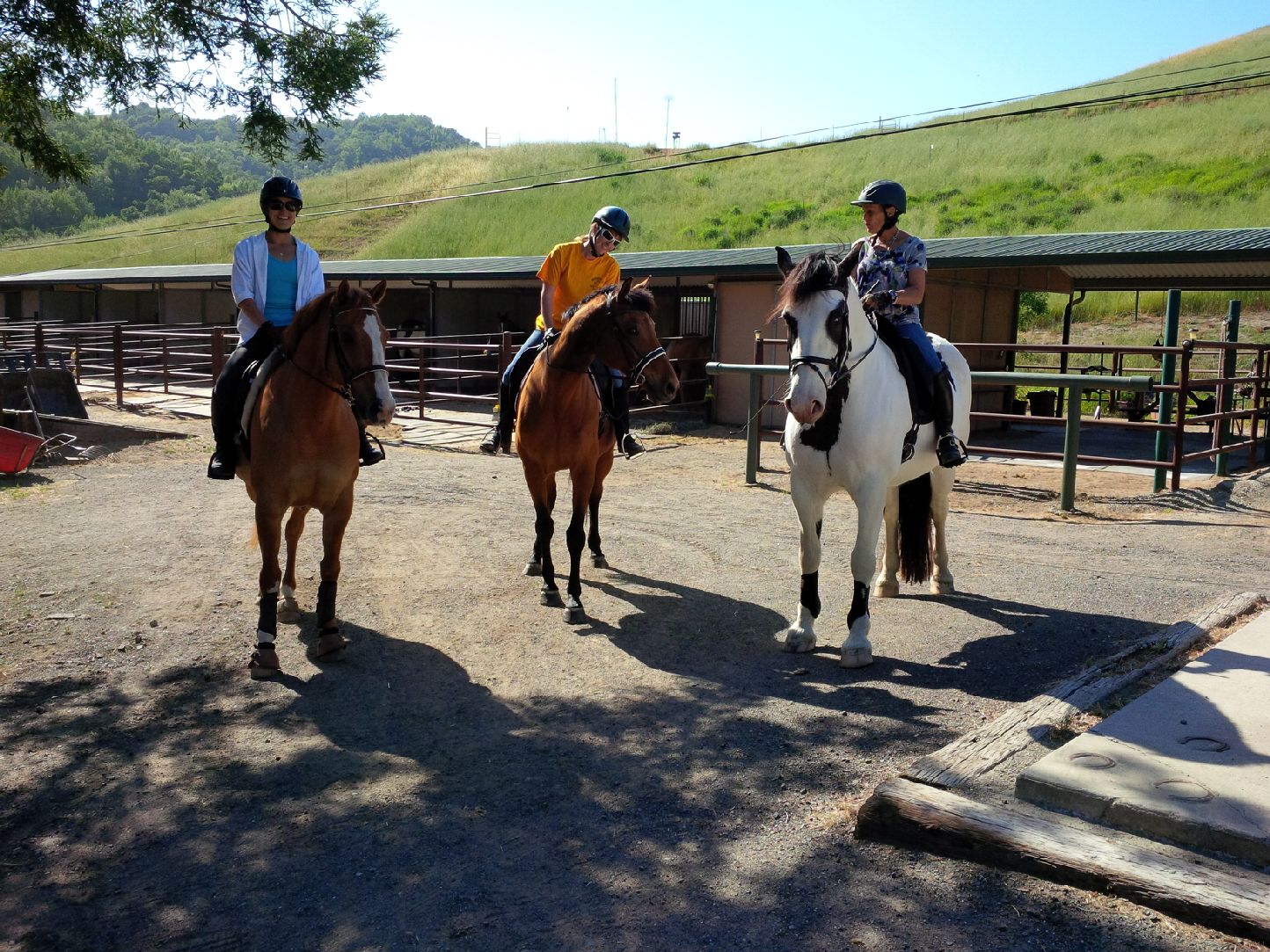 Dream Team Eventers – Kathy Gilliland – Three Day Eventing Trainer